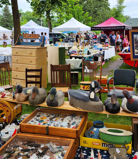 flea market minnesota FTR