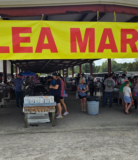 flea market mississippi rare ftr