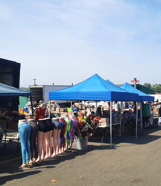 flea market new jersey ftr