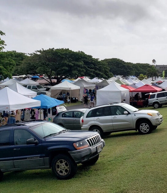 flea markets treasures hawaii ftr