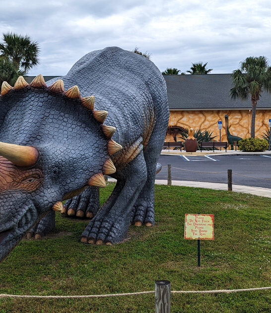 florida amusement parks trip ftr