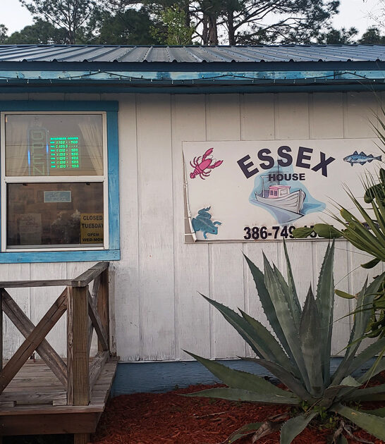 florida best clam strips ftr