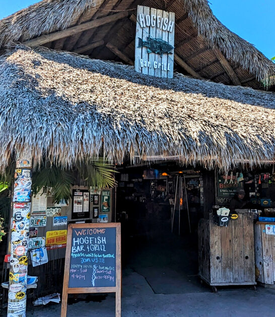 florida best hogfish sandwich ftr