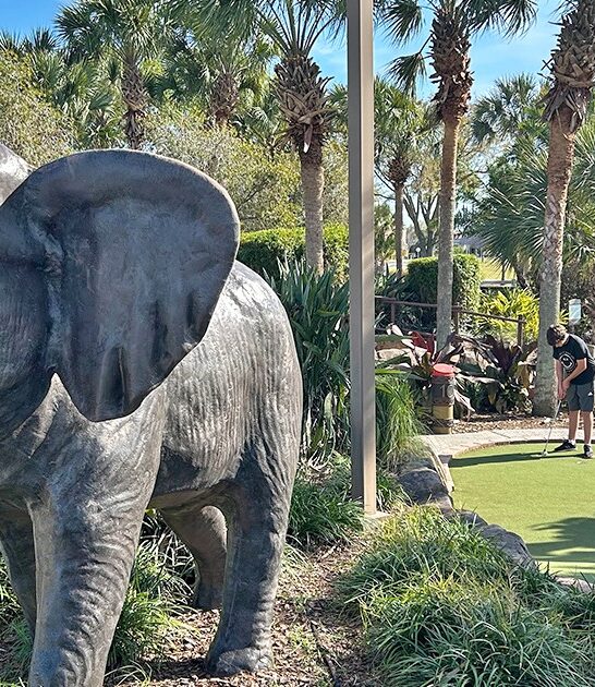 florida delightfully quirky golf ftr