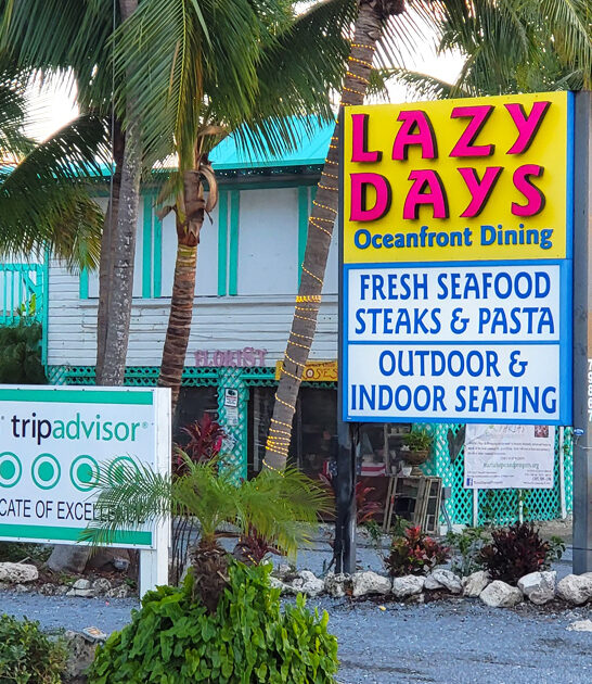 florida hogfish sandwich ftr