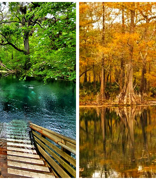 florida state park hidden ftr