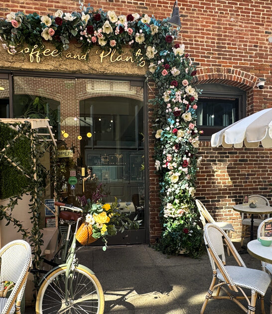 flower coffee shop california ftr