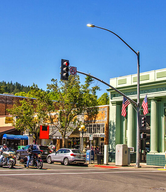 forest magical california town ftr
