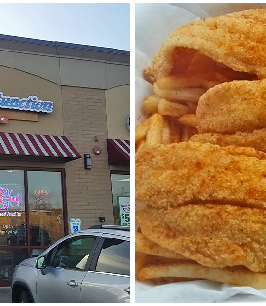 fried catfish illinois restaurant ftr