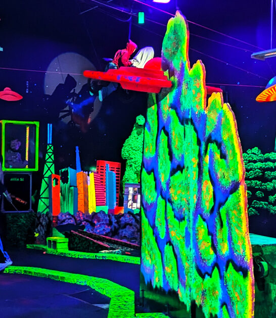 fun mini golf illinois ftr