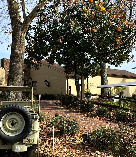 georgia best prime rib FTR