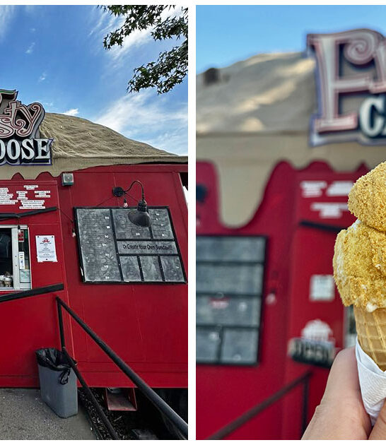 georgia heavenly ice cream ftr