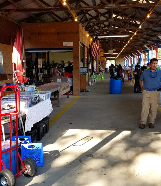 georgia market countless treasures ftr