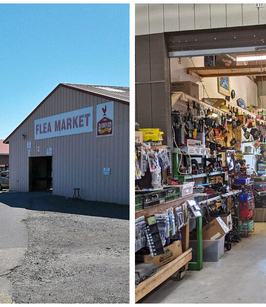 good market south carolina FTR