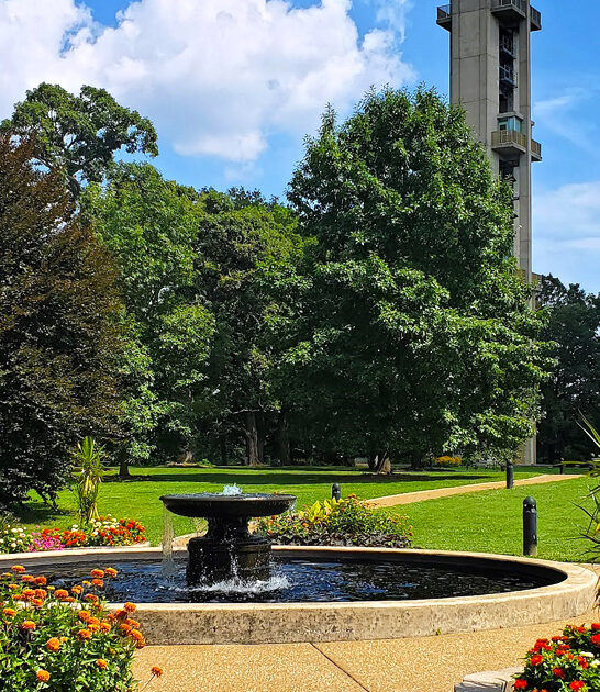 gorgeous illinois park ftr