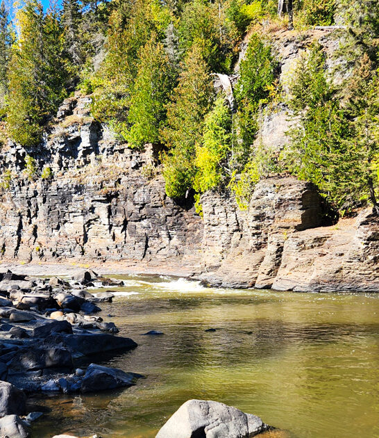 gorgeous minnesota park FTR