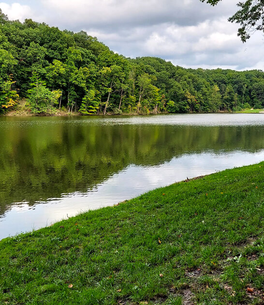 gorgeous ohio state park ftr