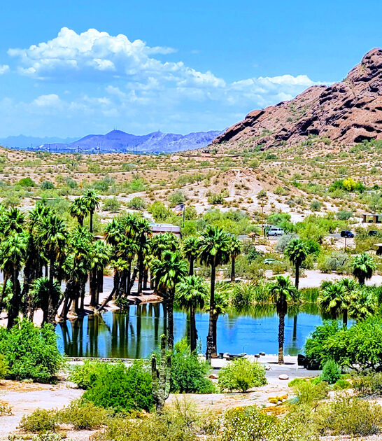 gorgeous park arizona ftr