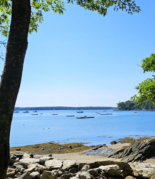 gorgeous park maine ftr