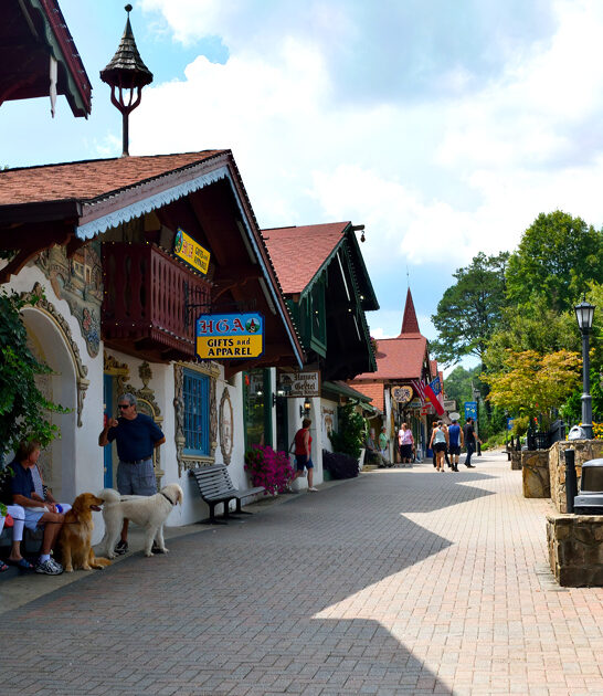gorgeous towns georgia ftr