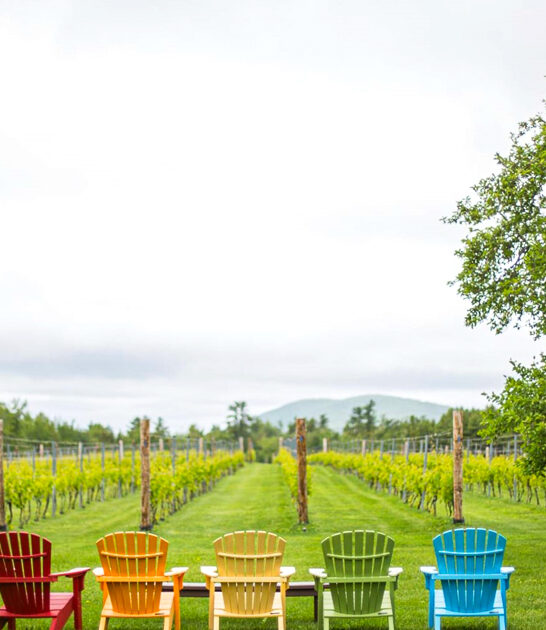 gorgeous wineries maine ftr