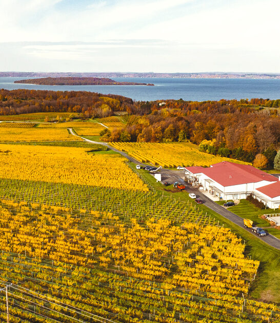gorgeous winery michigan ftr