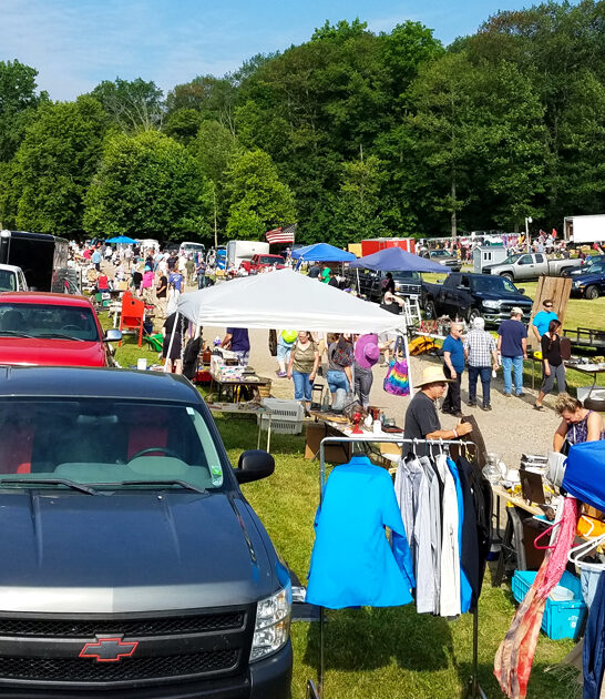 great flea market richmond mi ftr