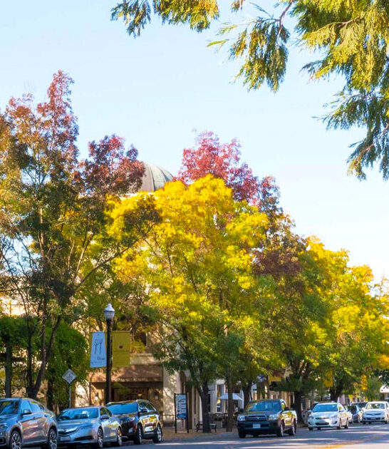 healdsburg ca dreamy town ftr
