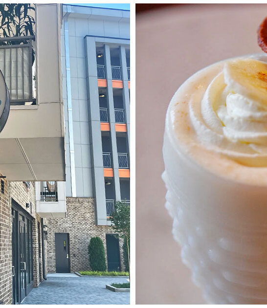 heavenly ice cream georgia ftr