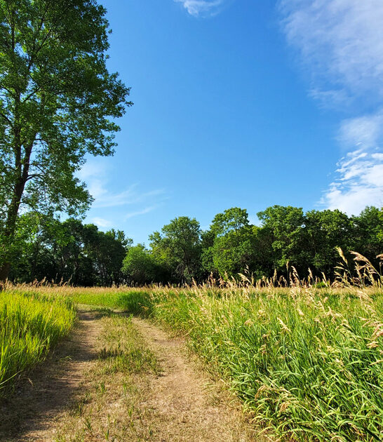 hidden minnesota park ftr
