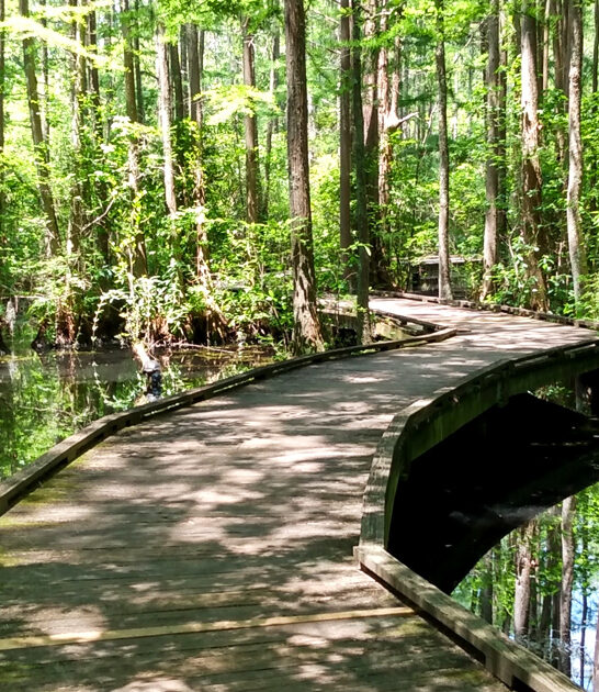 hidden picturesque south carolina ftr