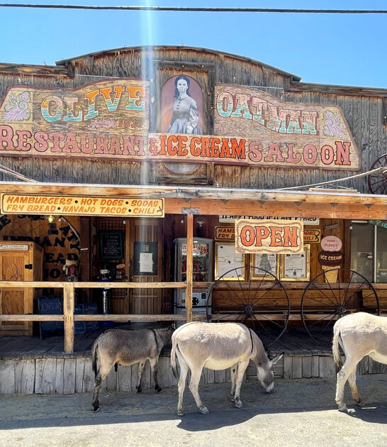 historic general stores arizona ftr