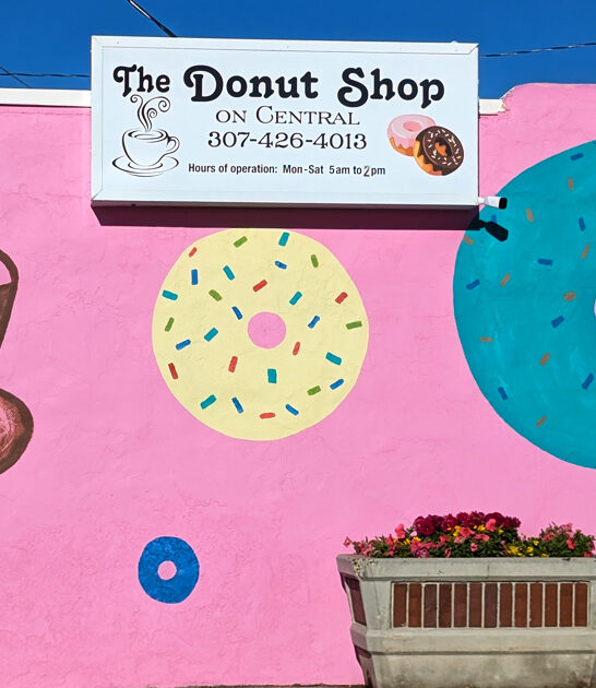 homey bakery wyoming ftr