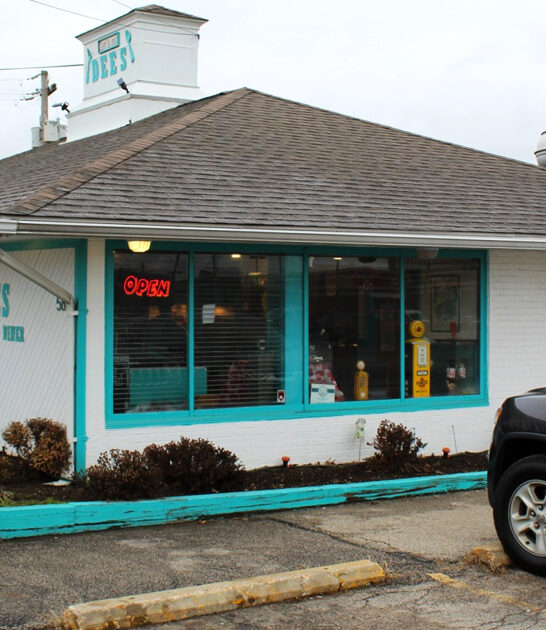 homey diner ohio ftr
