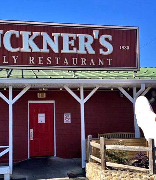 homey southern restaurant georgia ftr