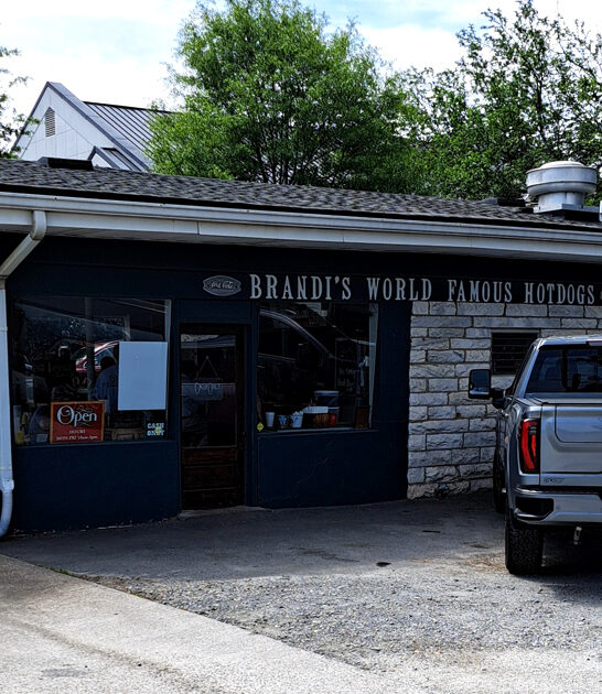 hot dog joint georgia ftr