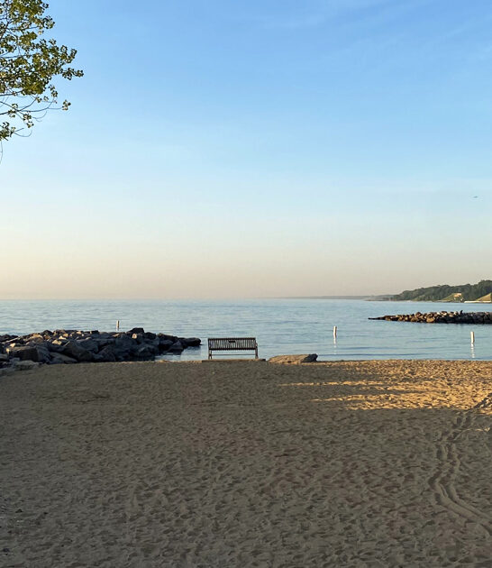 illinois gorgeous park ftr