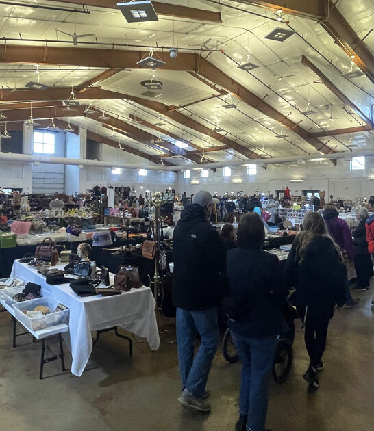 illinois markets bargain hunting ftr