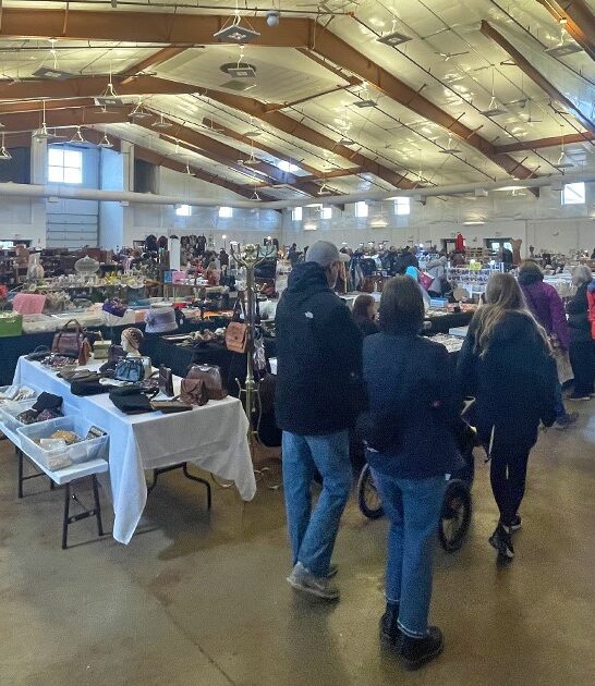 illinois massive flea market ftr