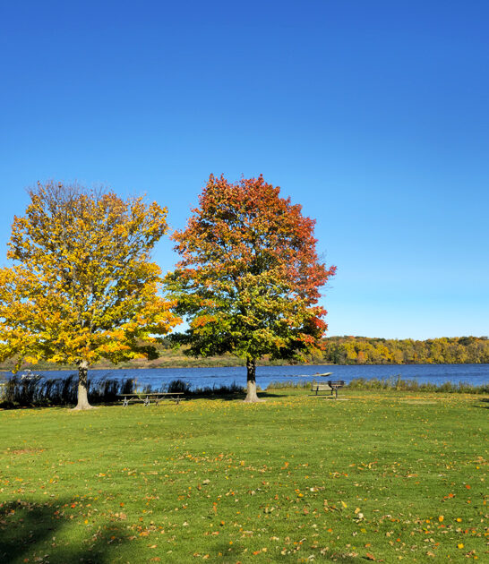 illinois state park picturesque ftr