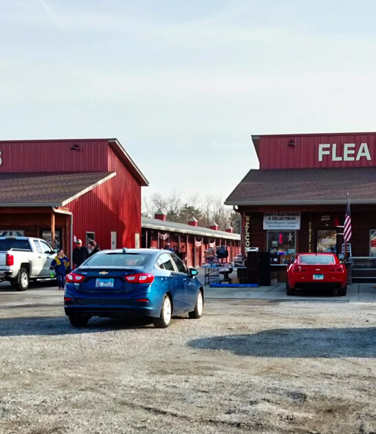 illinois underrated flea market ftr