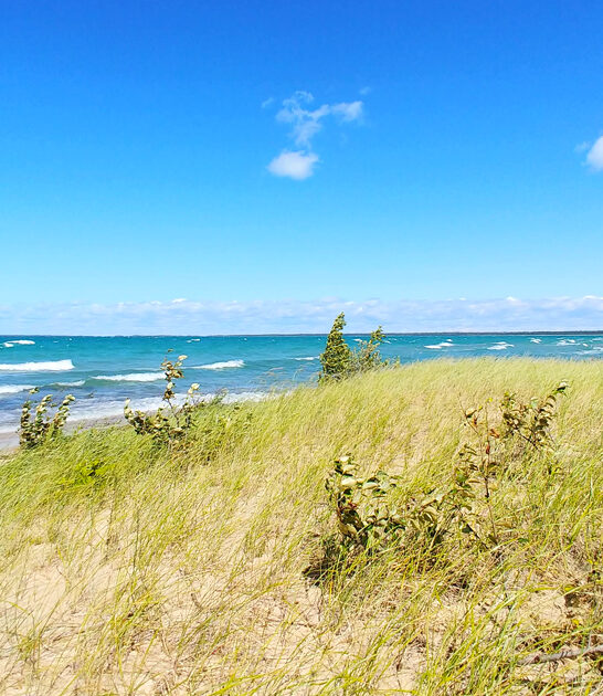 jaw dropping michigan beaches ftr