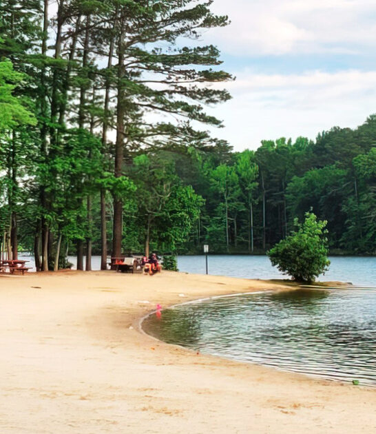 lake beaches georgia ftr