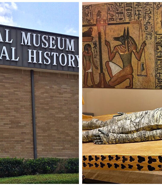 largest-arftifacts-museum-houston-tx FTR
