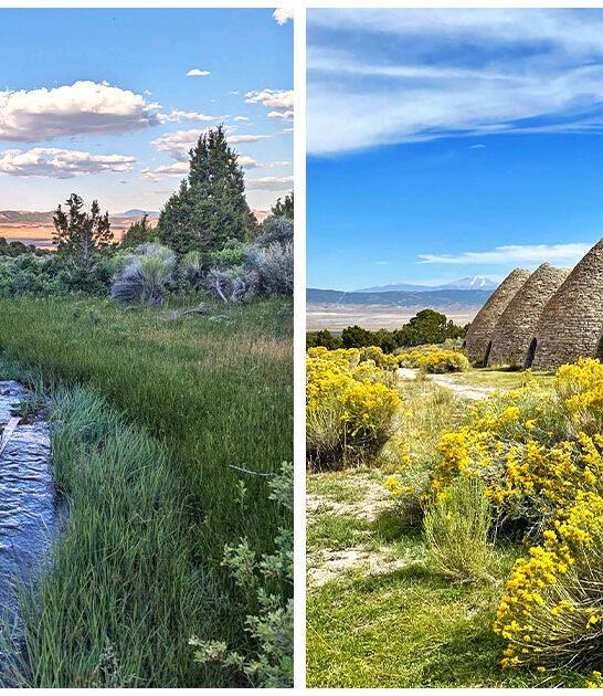 little-known-park-nevada FTR