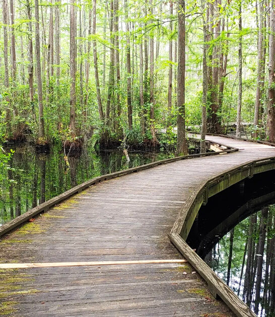 little known south carolina ftr