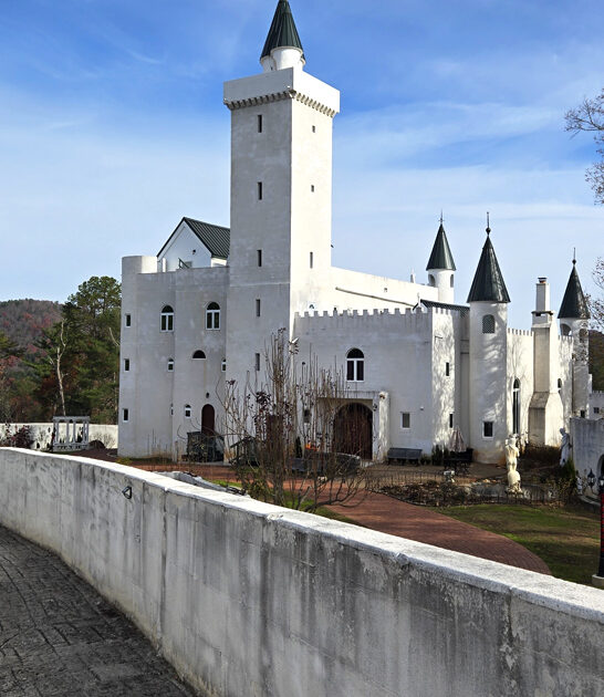 magical castles georgia ftr