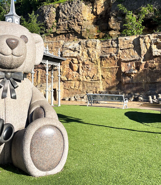 magical parks minnesota FTR