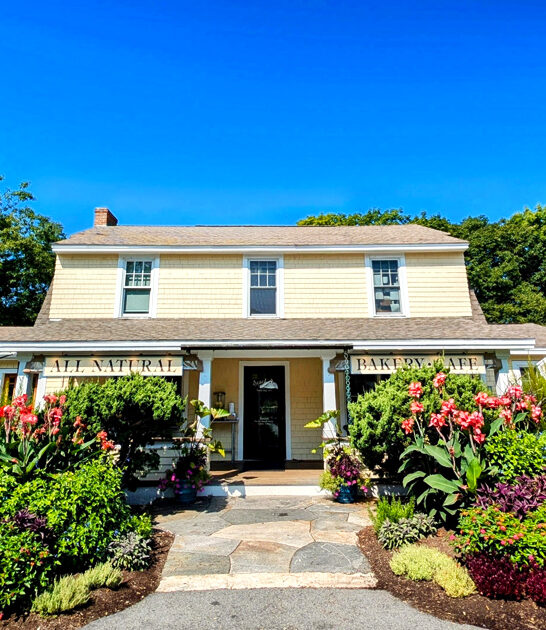 maine bakery best croissants ftr