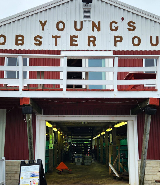 maine best lobster shacks ftr